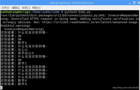 【python】树莓派相机实现手势识别，调百度api树莓派百度api手势识别 Csdn博客