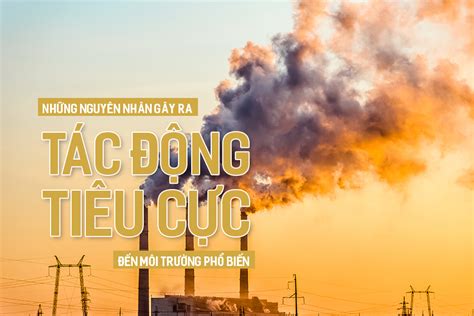 Sustainable Là Gì Nguyên Tắc Và Tiêu Chí Của Sustainable