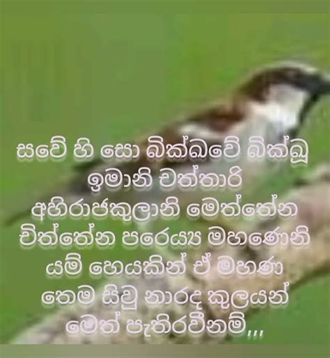 දහම් පාසල් අවසාන ශ්‍රේණිය පාලි පරිවර්තන ඛන්ධ පරිත්ත 2 කොටස Youtube