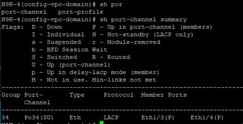 22 06 21[cisco Nexus] Vpc Lab