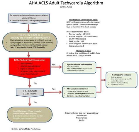 The Ultimate Guide To Acls Answers For 2025 Everything You Need To Know