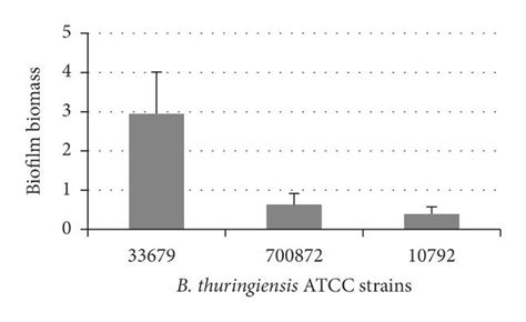 A B Thuringiensis Strains Form Biofilms In Iron Restrictive Medium Download Scientific