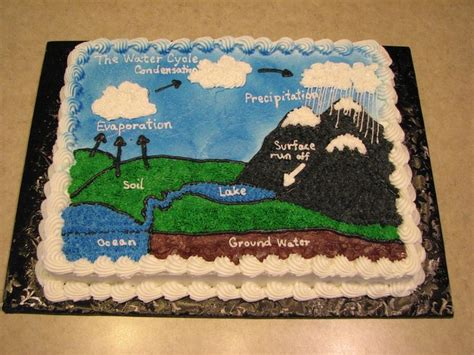 Water Cycle Water Cycle Science Fair Projects Science Projects