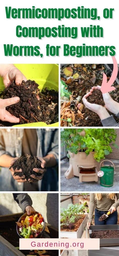 Vermicomposting For Beginners Composting With Worms Vermicomposting Worm Composting Compost