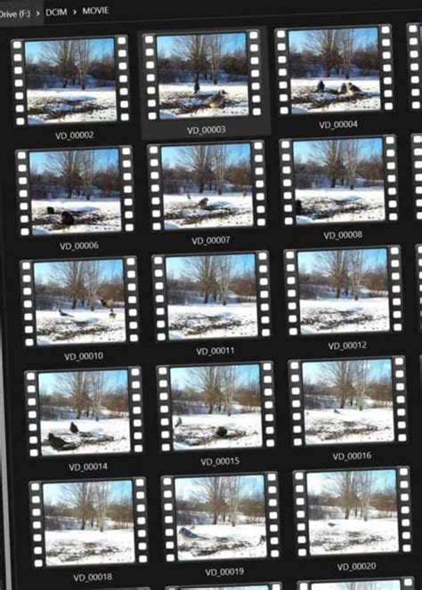 4 Ways To Connect Trail Camera To Computer View Photosvideos Gudgear