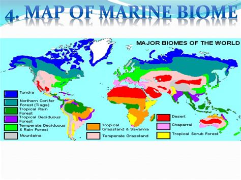Ppt Marine Powerpoint Presentation Free Download Id2211569