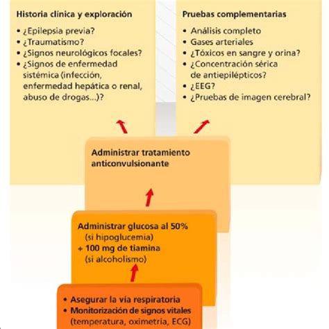 Algoritmo de actuación médica en el estado epiléptico convulsivo Download Scientific Diagram