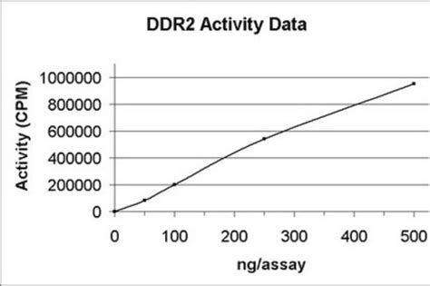 Ddr2 Protein Active 10 µg Active N Terminal His6 Tagged Recombinant Human Ddr2 Amino Acids
