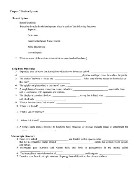 Skeletal System Worksheet Anatomy Physiology