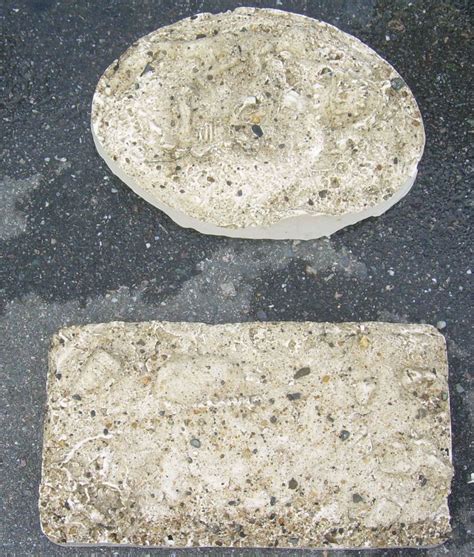 Backyard Archaeology How To Make Your Own Fossil HubPages