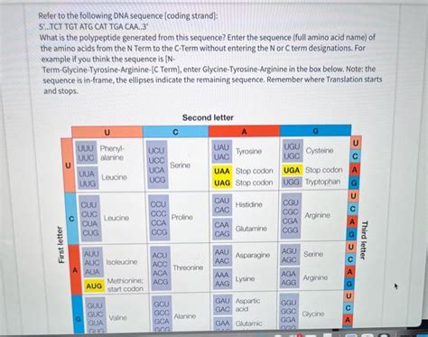 Solved Refer To The Following Dna Sequence Coding Strand