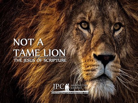 Not A Tame Lion Journey Pastoral Coaching