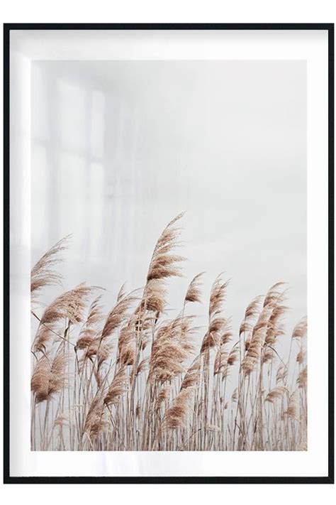 Постеры на стену Постер Трава на пляже постеры для интерьера в скандинавском стиле