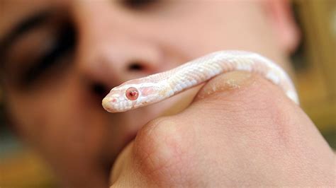 Forms And Validation In Flutter — Login Ui By Yogita 40 Off