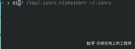 Zsh 安装与配置：9步打造高效命令行 知乎
