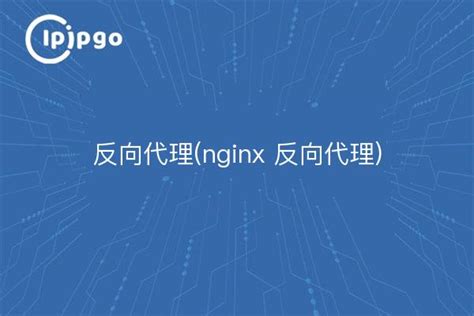 反向代理 nginx 反向代理 ipipgo