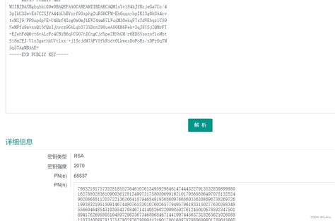 Buuctf——rsa系列（4）buuctf Rsa4 Csdn博客