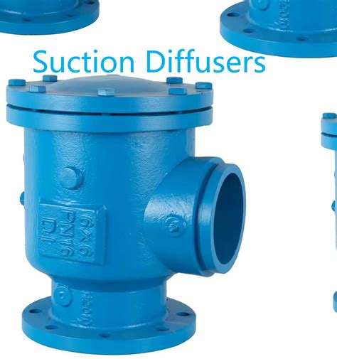 Pump Suction Diffuser With Strainer At Mikayla Skene Blog