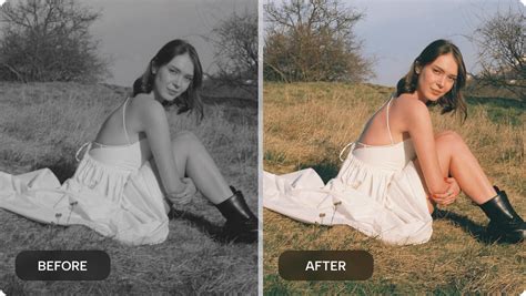AI Photo Colorizer Színezze a fekete fehér képeket másodpercek alatt