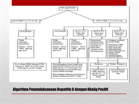 Tata Laksana Diagnosa Dan Terapi Hepatitis Pptx