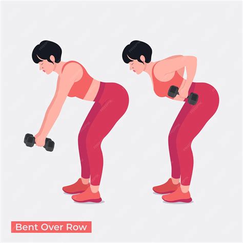 Premium Vector Bent Over Dumbbell Row Exercise Woman Workout Fitness