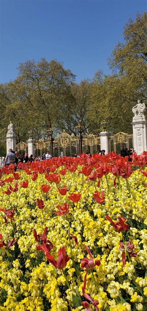 Buckingham Palace Gardens London England Buckingham Palace Gardens