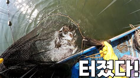 고기가 너무 많이 잡혀서 그물 찢어질 거 같습니다 힘이 어마어마하네요 Youtube