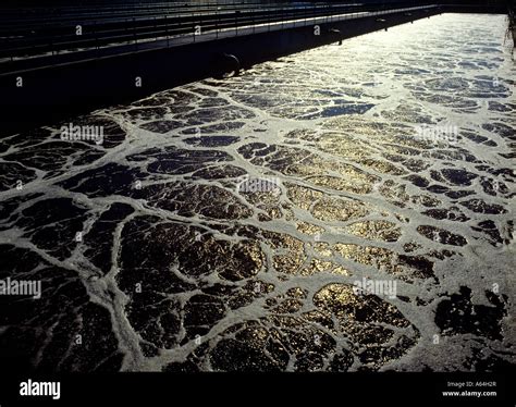 Secondary Aeration Tank Activated Sludge At Waste Water Treatment And