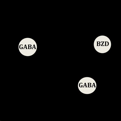 Structure And Subunit Composition Of Gaba A Rs The Composition Of The Download Scientific