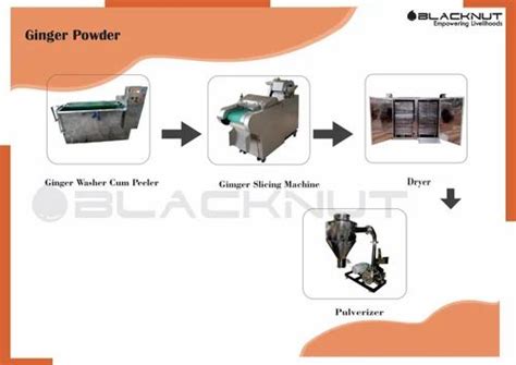 Ginger Processing Plant Ginger Dehydration Plant Manufacturer From Ambala