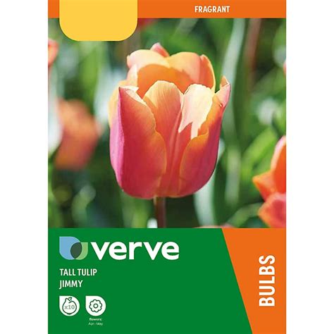 Tulip Jimmy 10 Flower Bulbs Diy At Bandq