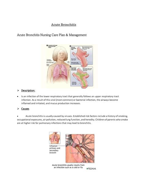 Solution Acute Bronchitis Notes Studypool