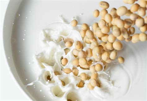 The Shocking Truth About Gmo Soybeans Youve Probably Never Heard Urban Mamaz