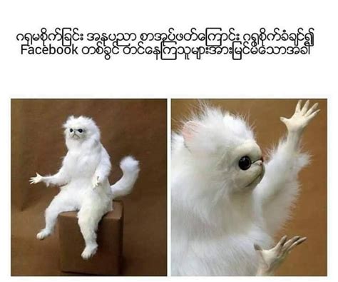 နေ့စဥ်ဖတ်မိသောစိတ်ခွန်အားဖြည့်စာစုများ ငါတို႔ ဒီတစ္ သက္ မွာ မွား ေလွ်ာက္ ခဲ့ဖူးတဲ့လမ္ း ေတြ ရိ