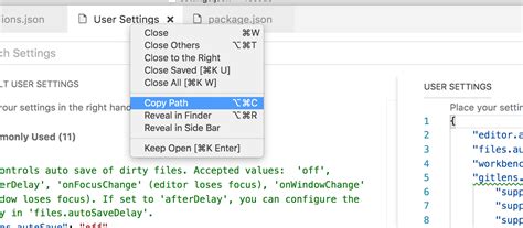 Expose Copy Path To User Settings File · Issue 48581 · Microsoftvscode · Github