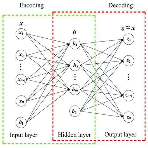 basic structure of autoencoder download scientific diagram