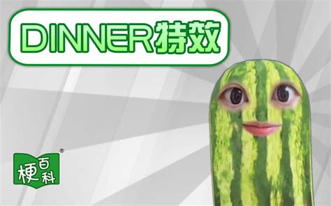 【梗百科】dinner特效是啥梗？ 梗百科 梗百科 哔哩哔哩视频
