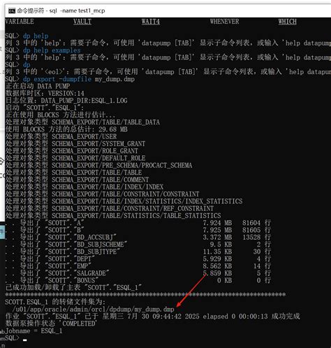 Oracle Mcp Server简单配置以及备份调用 Csdn博客