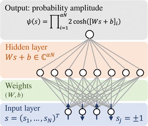 schematic representation of the rbm the hidden layer size is αn with