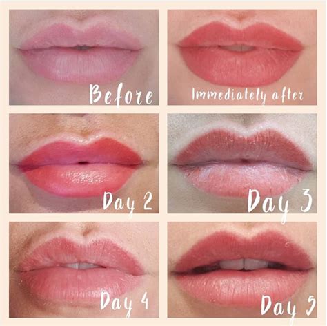Lip Semi Permanent Makeup Aftercare Saubhaya Makeup