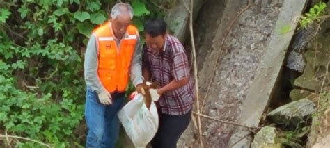 고라니 구조 No 22 71 이미지 사 푸른환경보존협회