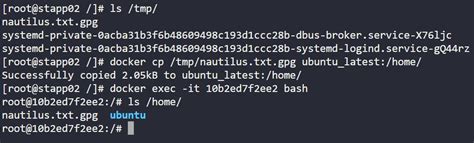 How To Copy Files Between Docker Host And Container Praveen Karthick