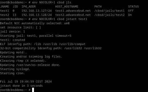 Exploring The Cbsd Virtual Environment Management Framework Part 8 Customizing Cbsd Eerielinux
