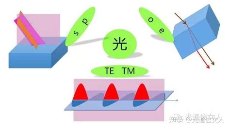 Y2t47 区分o光e光、s光p光、te模tm模 知乎