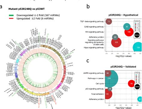 Figure 3 From Mutant P53 Gain Of Function Induces Migration And