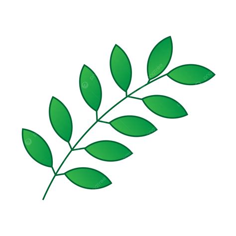 Simple Leaf Vector