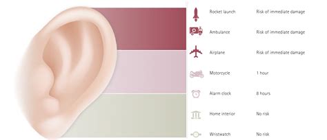 Levels Of Sound In DB HL Welland Optical And Hearing Centre