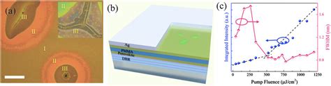 A Optical Microscopy Image Of The Segregated Quasi 2d Perovskites