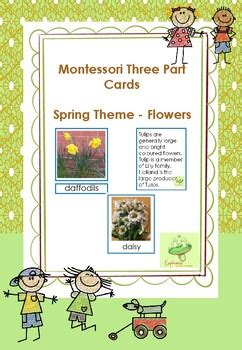 Montessori Three Part Cards For Spring Theme Flowers By Euphoria Learnings