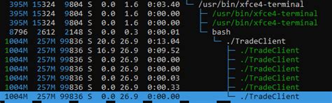 Process Multiple Instances Of App In Htop Server Fault